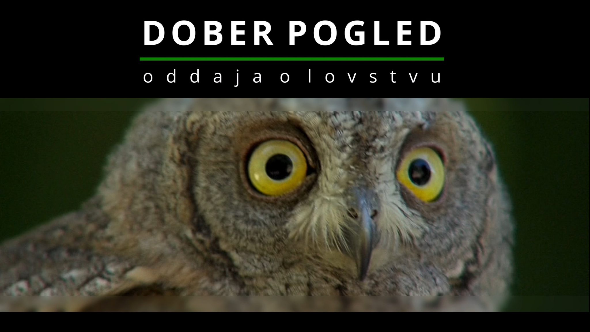 Termini predvajanja decembrske oddaje Dober pogled – Lovska zveza Slovenije
