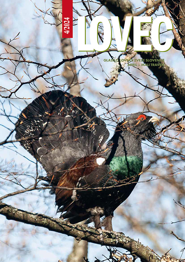 Lovec-2024-04 – Lovska zveza Slovenije