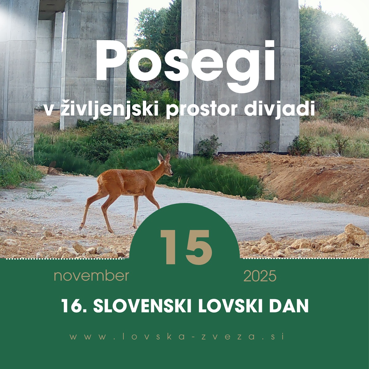 Prijave na 16. Slovenski lovski dan so ODPRTE – Lovska zveza Slovenije